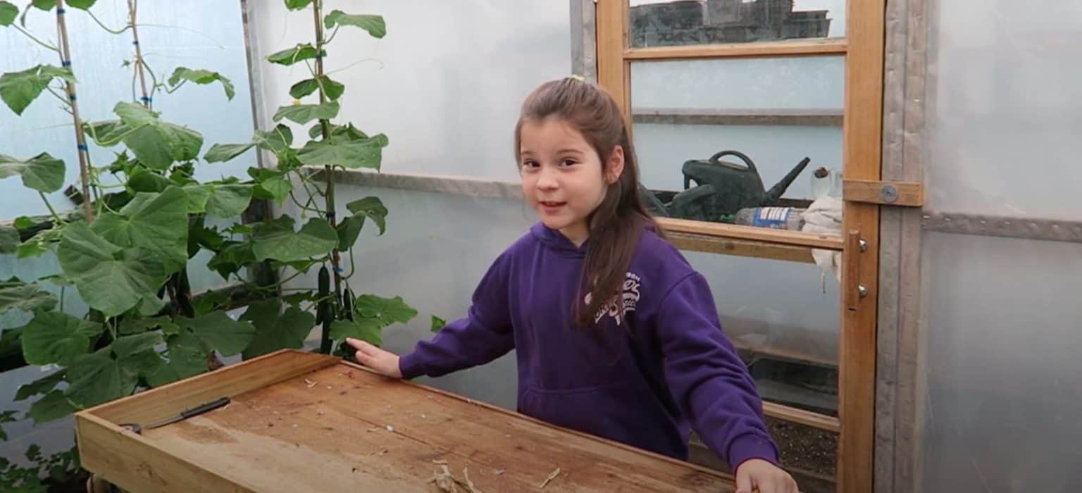 Manual Pollination: How to Pollinate Plants without Bees - Simplify ...