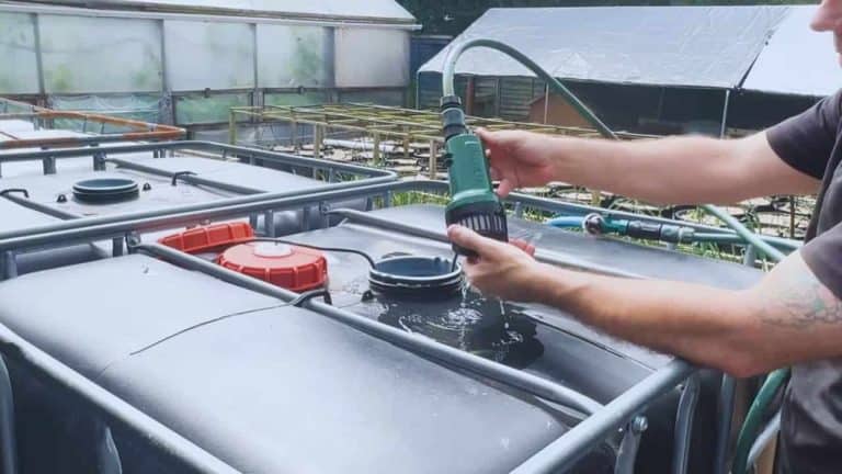 Slugs in Garden - 6 Proven Control Methods That Work - Simplify Gardening