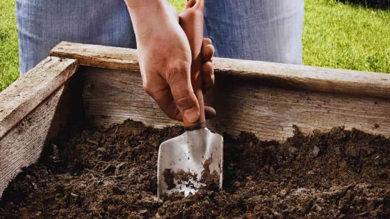 Bokashi Composting Made Easy: A Step-by-Step Guide - Simplify Gardening